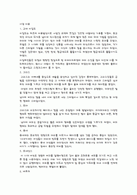 서양 미용-1페이지