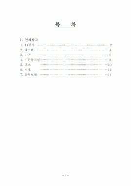 인쇄광고분석-1페이지