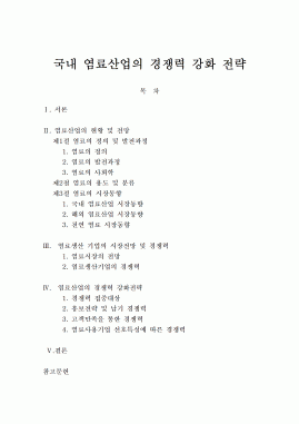 국내 염료산업의 경쟁력 강화 전략-1페이지