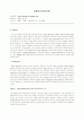 [식품미생물학실험]그람염색&카탈라아제테스트(gram staining & catalase test)-1페이지