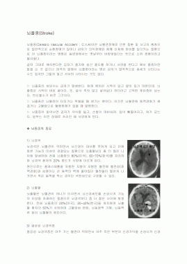 뇌졸중 문헌고찰 뇌경색-1페이지