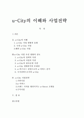 u-City의 이해와 사업전략 -1페이지