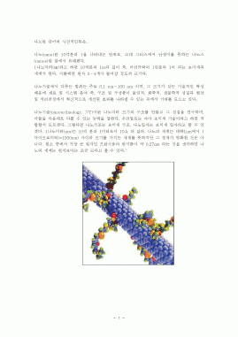 나노과학이란-1페이지