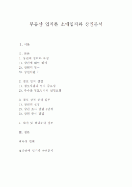 부동산 입지론 소매입지와 상권분석-1페이지