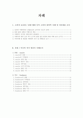 인터넷 여행계약의 성립조건과 소비자의 정신적 손해 및 이지젯과 사우스웨스트 항공 사례조사-1페이지