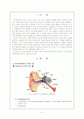   이비인후과&안과계의 구조와 기능 -1페이지