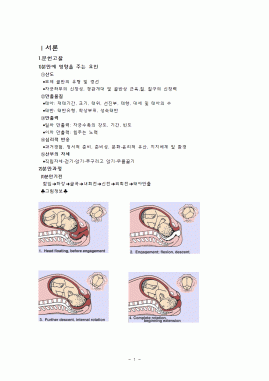 분만 간호과정-1페이지