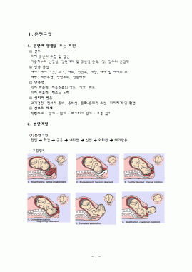 자연분만 대상자 간호과정-1페이지