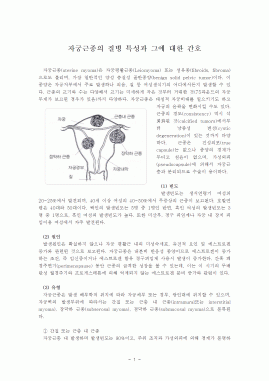 자궁근종에 대하여-1페이지