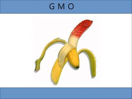 gmo(유전자 변형 농산물)-1페이지