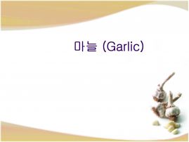 마늘(Garlic)-1페이지