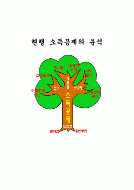 미시적 현행소득공제분석-1페이지