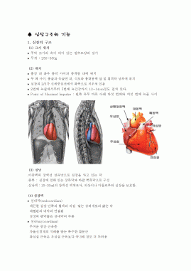 심장구조, 심혈관계 기능 사정-1페이지