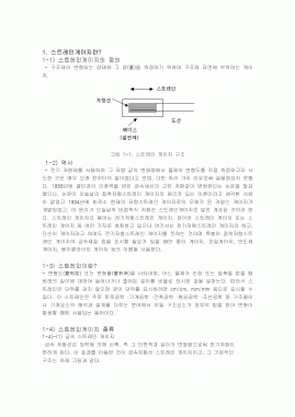 스트레인게이지 - 정의 및 역사, 종류, 사용 예, 보간법 및 부착방법-1페이지