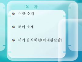 중동의 음식문화(터키,이란)-1페이지