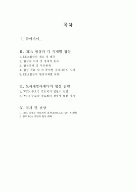 DDA 현황과 전망-1페이지