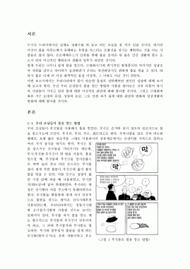 [동서양과학기술] 성냥의 유입과 불에 관한 관념의 변화-1페이지