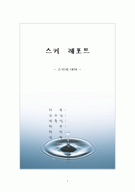 스키 레포트-1페이지