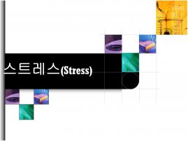 스트레스(stress)-1페이지