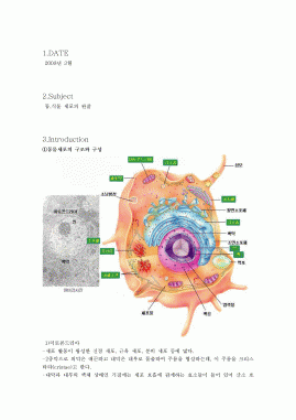 동식물 세포의 관찰-1페이지