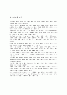 윈드 서핑의 역사와 경기규칙-1페이지