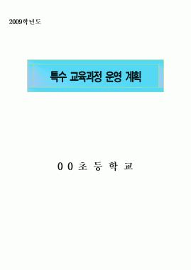 특수학교 교육과정(초등학교) 연간교육운영계획-1페이지