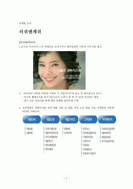 러쉬앤캐쉬,대우캐피탈,현대캐피탈 마케팅분석-1페이지