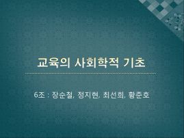 교육학개론 - 교육의 사회학적 기초-1페이지