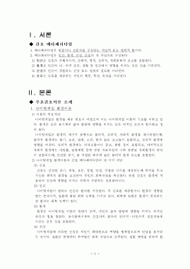 간호이론가들에 의한 간호 네 개념에 대하여(간호의메타패러다임)-1페이지