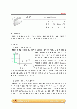 레이놀즈 수 Reynolds Number 예비레포트. -1페이지