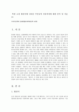 북한 소설 황진이에 나타난 주인공의 자유의지에 대한 분석 및 서술yu-1페이지