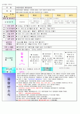 보육활동 계획안-1페이지