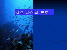 지적재산권 전반적 설명-1페이지