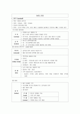 눈의 구조와 기능, 노화와 관련된 눈의 변화-1페이지