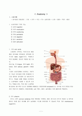 인체 해부생리 anatomy-1페이지