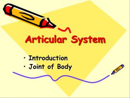 관절 의학용어 파워포인트 발표자료  Articular System -1페이지