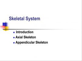 Skeletal System 골격계 파워포인트 발표자료-1페이지