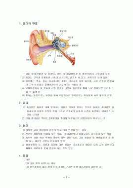 만성중이염-1페이지