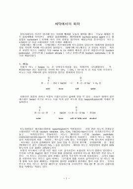 세탁에서의 화학-1페이지