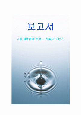 [경영학원론] 서울디즈니랜드 기업 경영환경 분석 -1페이지