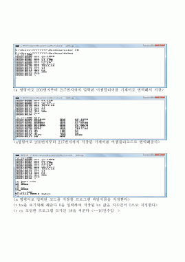 간단한 코딩으로 푼 debug 명령어-1페이지