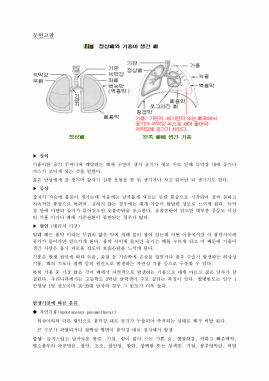 기흉 case-1페이지