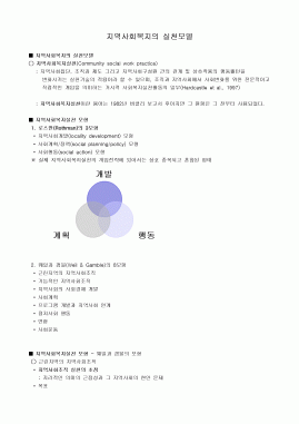 지역사회복지의 실천모델-1페이지