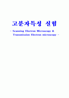 SEM&TEM - 주사전자현미경 & 투과전자현미경-1페이지