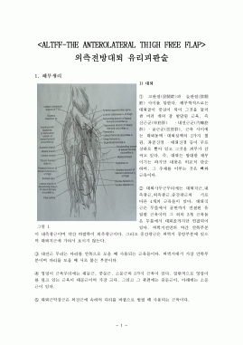 <ALTFF-THE ANTEROLATERAL THIGH FREE FLAP> 외측전방대퇴 유리피판술-1페이지