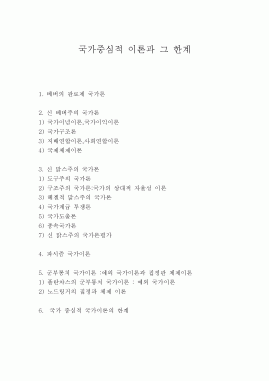 국가중심적 이론과 그 한계-1페이지