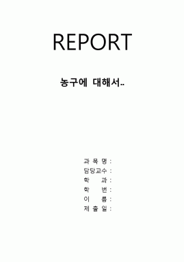 농구에 대한 레포트-1페이지