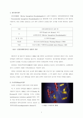 광우병(BSE : Bovine Spongiform Encephalopathy)-1페이지