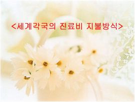 세계각국의 진료비 지불방식-1페이지