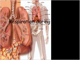 Respiration during Exercise-1페이지